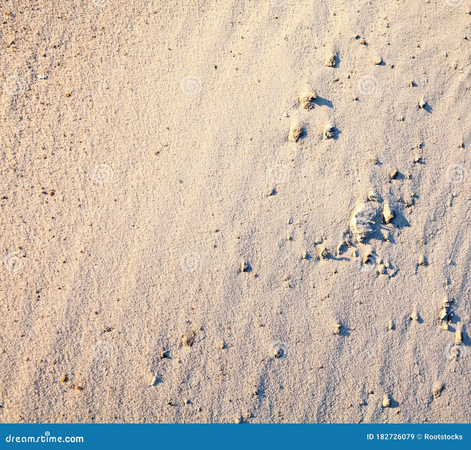 Sand surface stock image. Image of desert, beach, coast - 182726079