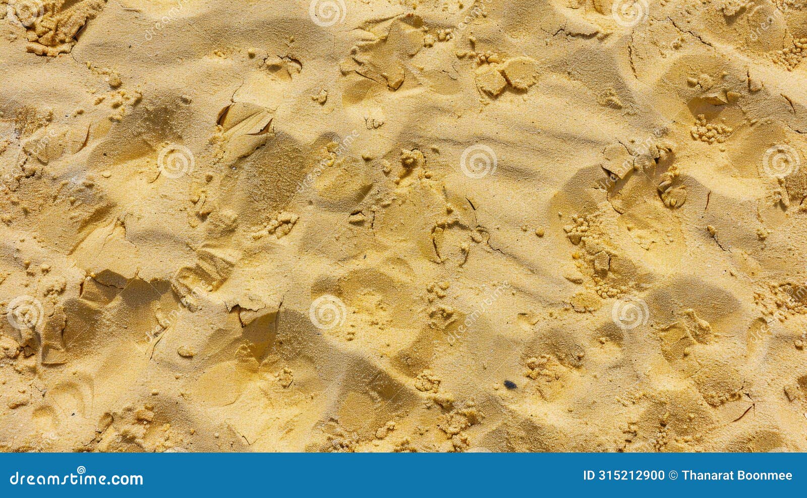 Sand Surface Texture Captures the Granular Beauty of Sandy Landscapes ...