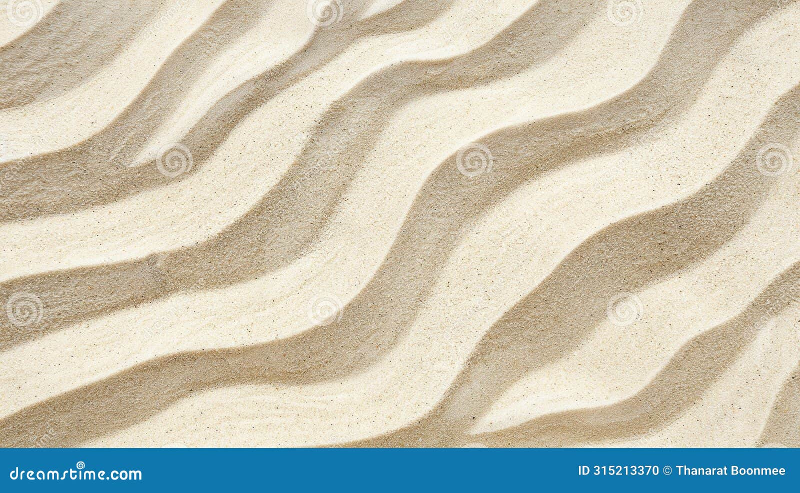 Sand Surface Texture Captures the Granular Beauty of Sandy Landscapes ...