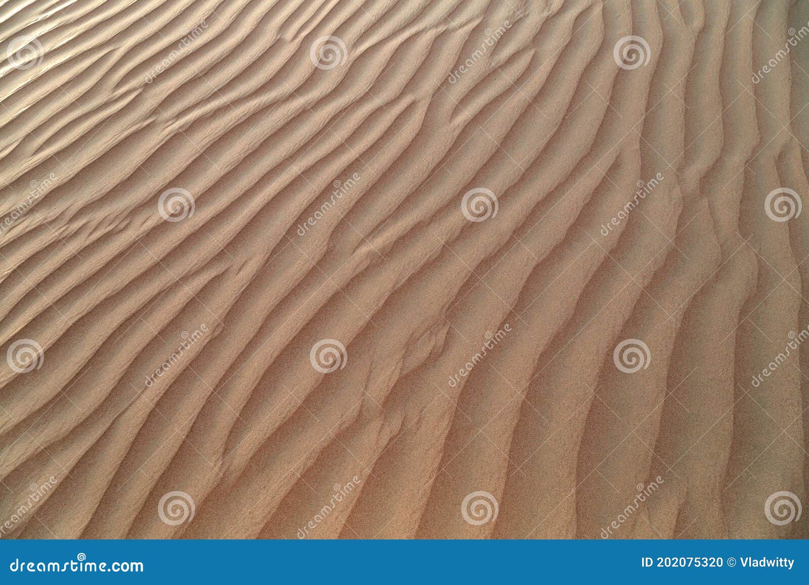 Sand surface texture stock photo. Image of detail, barren - 202075320