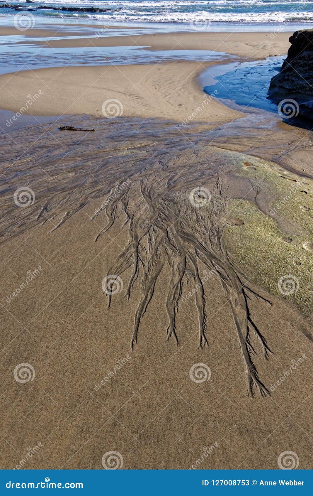 Sand Tendrils, Patterns in the Sand Stock Image - Image of back, brown ...