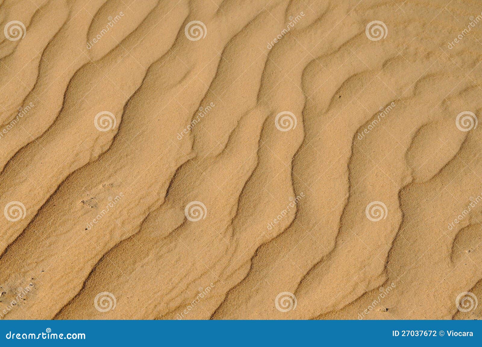 Sand texture stock photo. Image of landscape, desert - 27037672