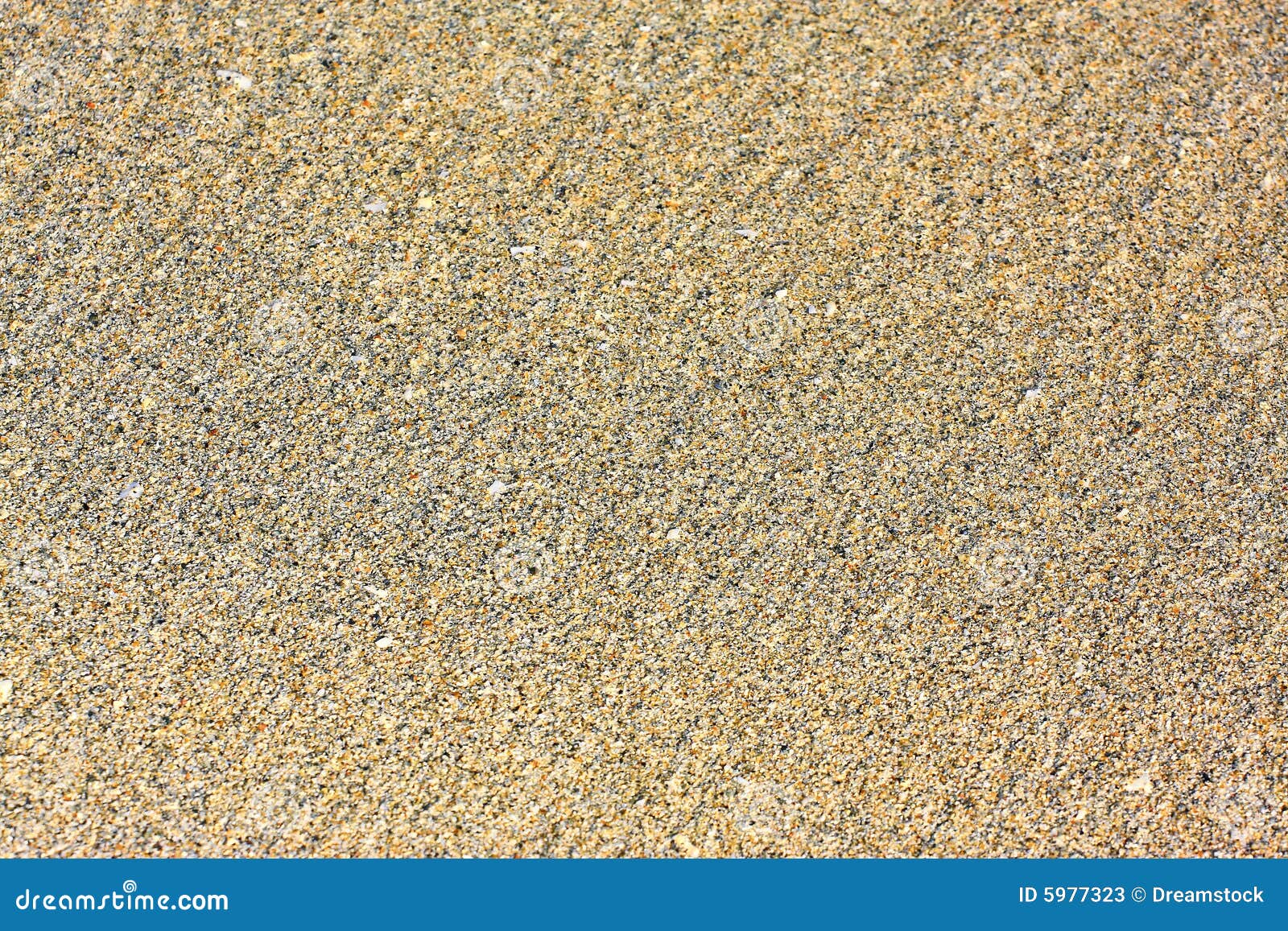 Sand texture stock image. Image of desert, sahara, abstract - 5977323