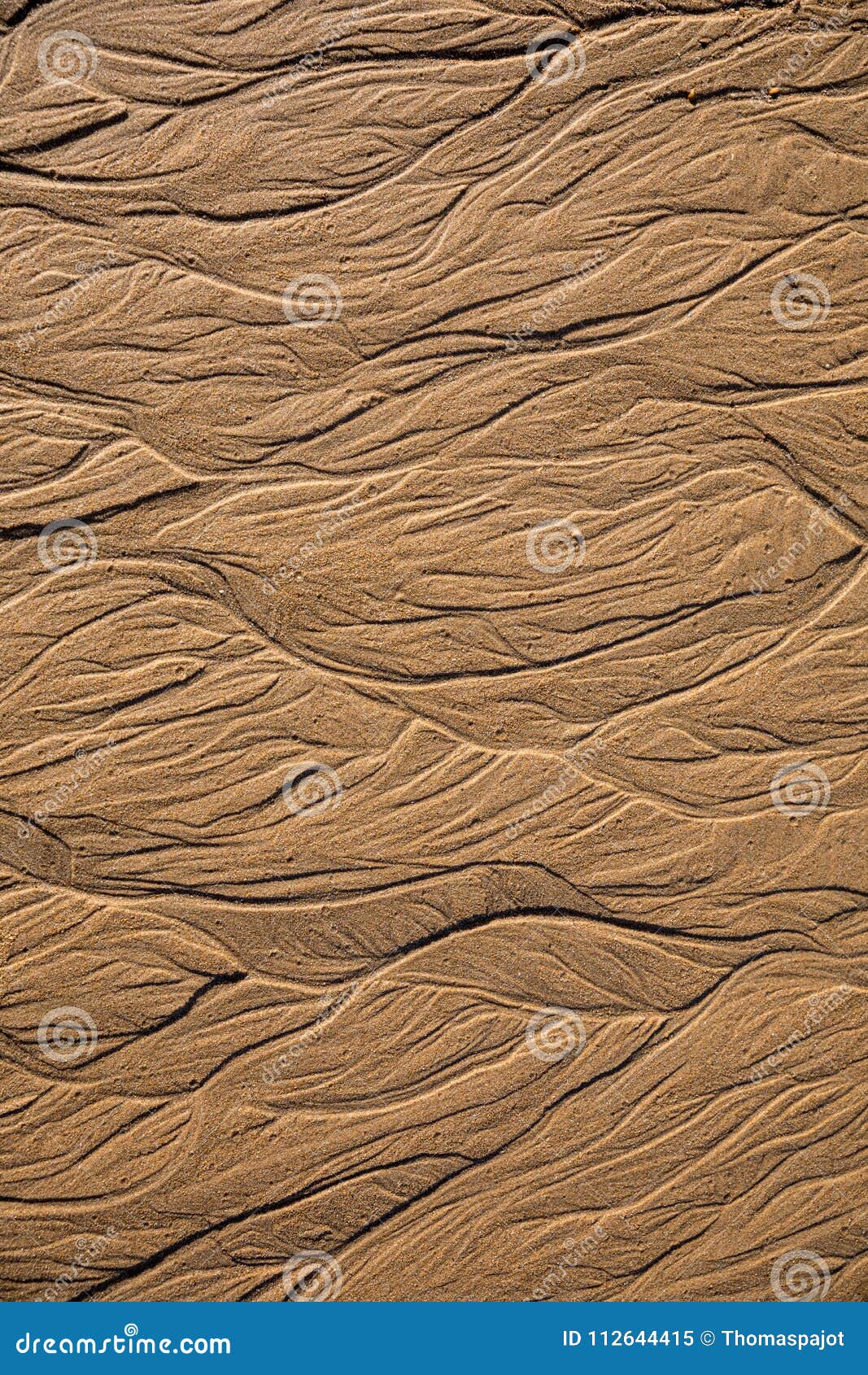 Sand Texture with Abstract Forms Stock Image - Image of background ...