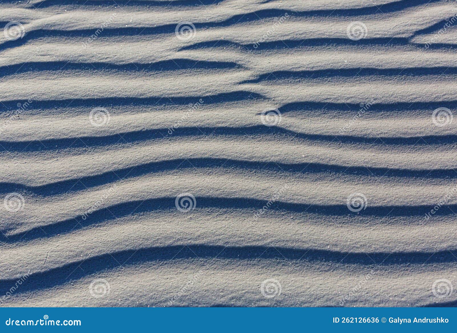 Sand texture stock photo. Image of circle, grass, texture - 262126636