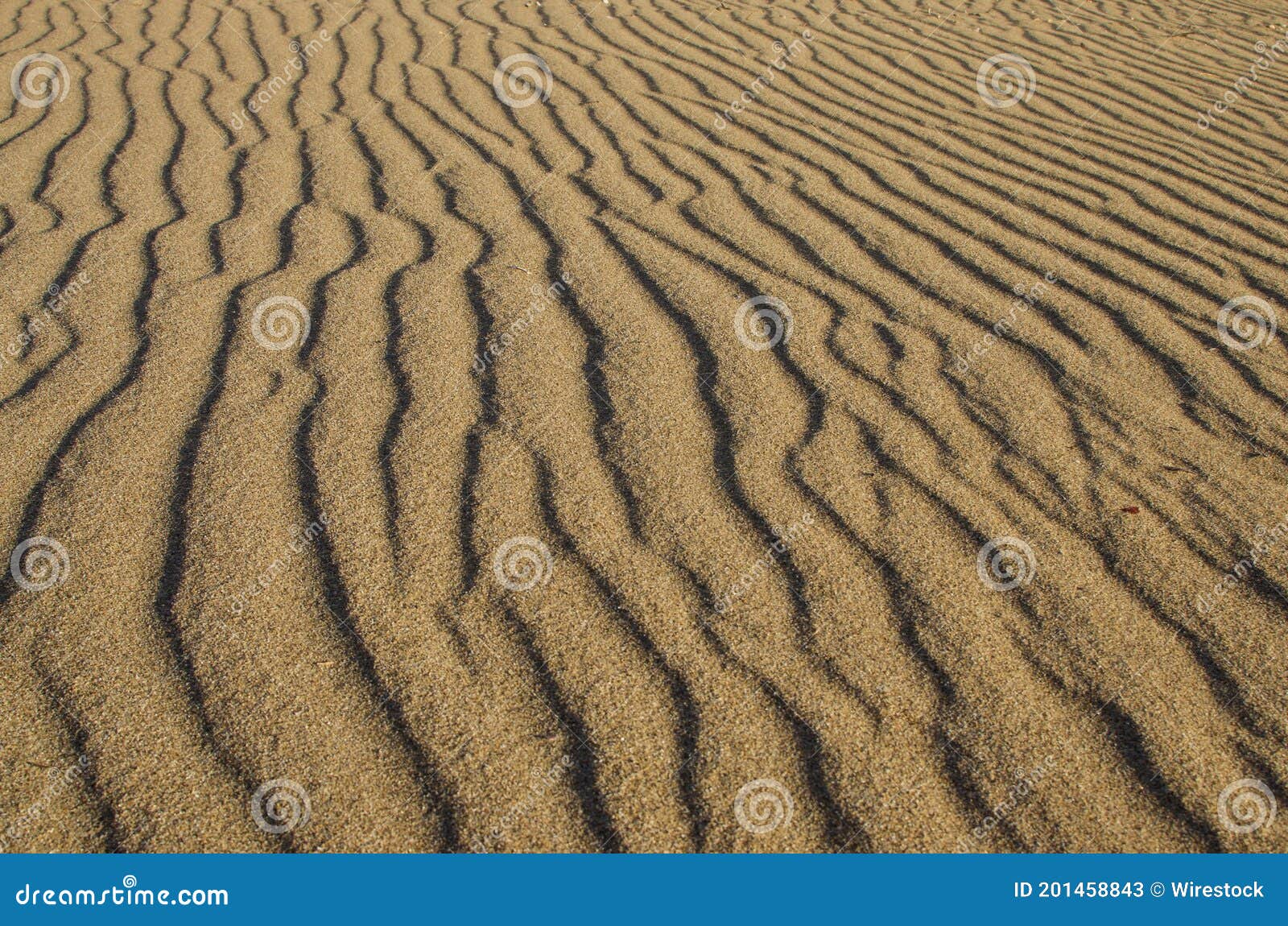 Sand Texture Background on the Beach Stock Image - Image of pattern ...