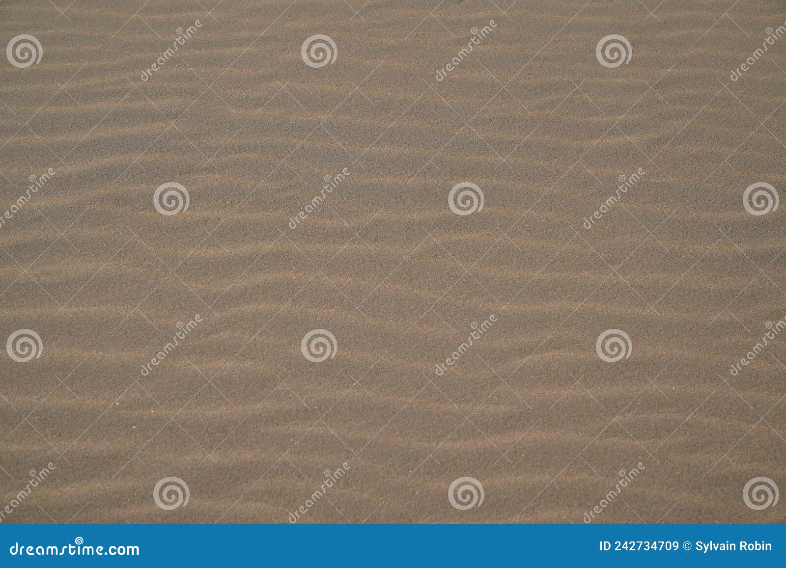 Sand Texture Background with Natural Sandy Line Water Wave in Low Tide ...