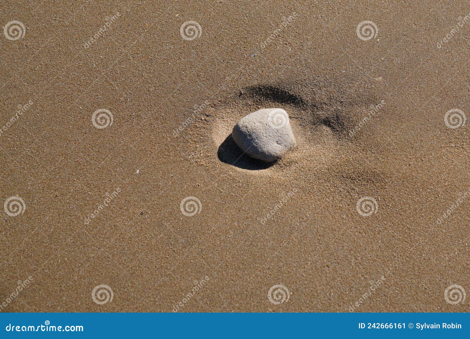 Sand Texture Background with Stone Rock on Low Tide Beach Sandy Pattern ...