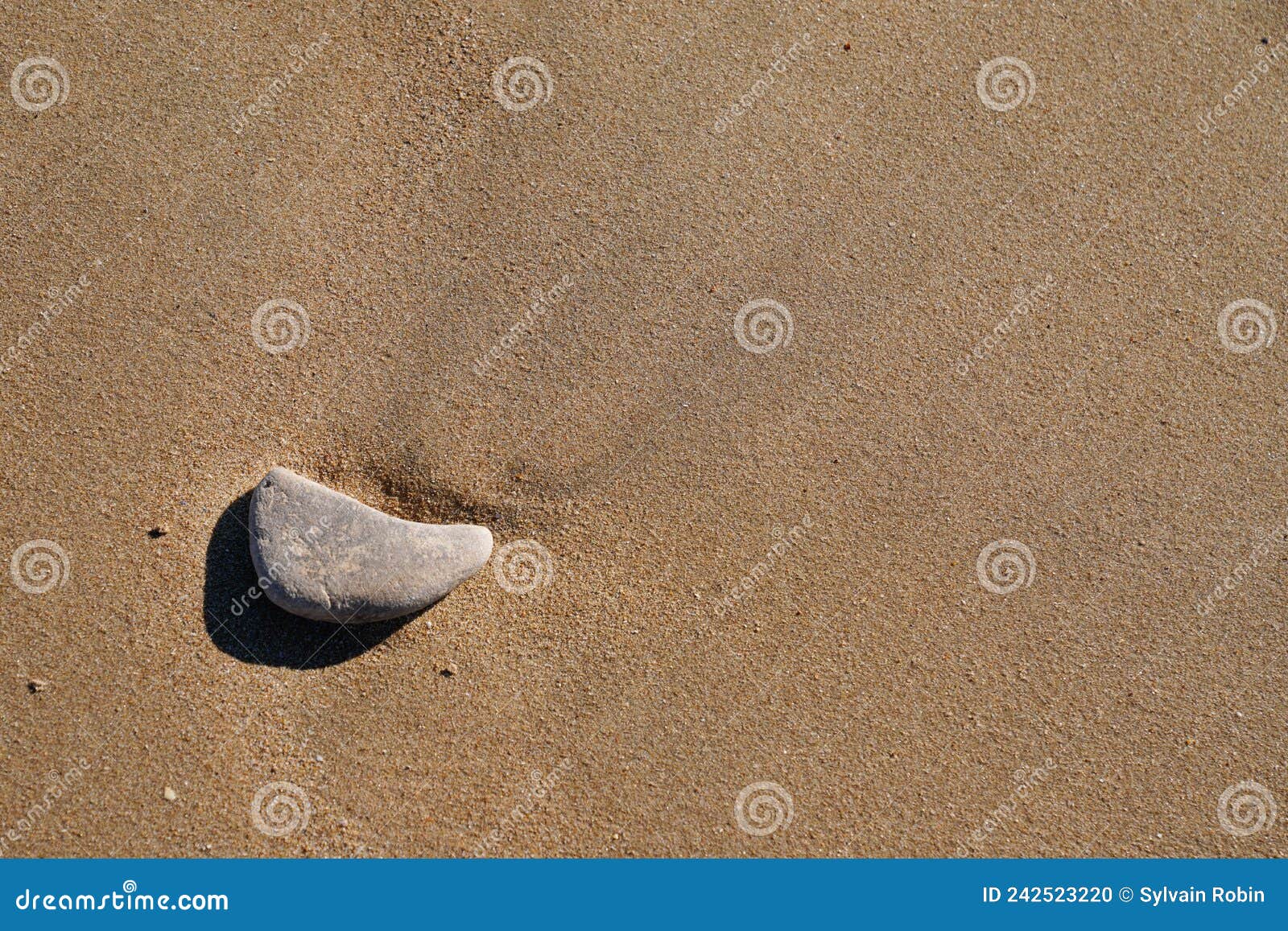 Sand Texture Background with Stone Rock on Sandy Pattern Wallpaper ...