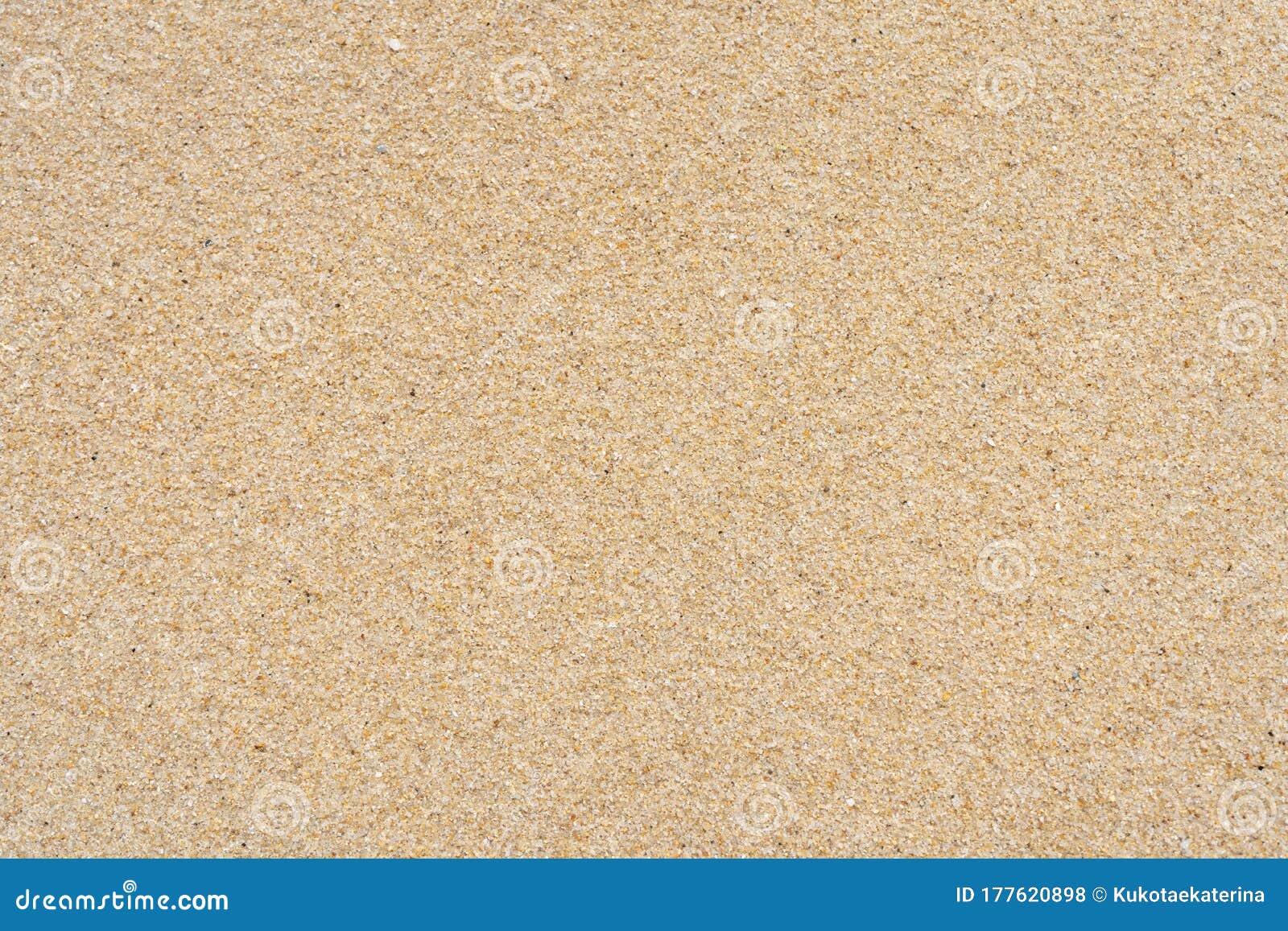 Sand Texture on the Beach. Crushed Shells Stock Photo - Image of nature ...