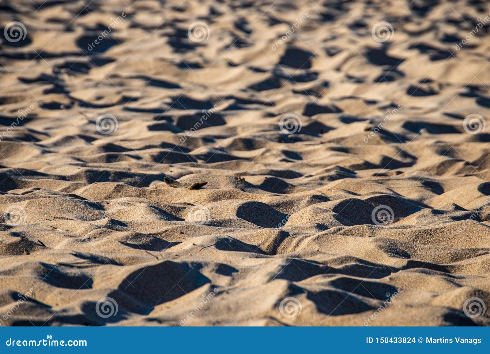 Sand texture on the beach stock photo. Image of dune - 150433824