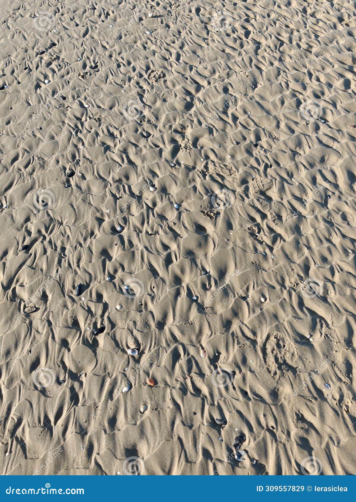 Sand Texture on the Beach. Texture, Copy S Pace Stock Image - Image of ...