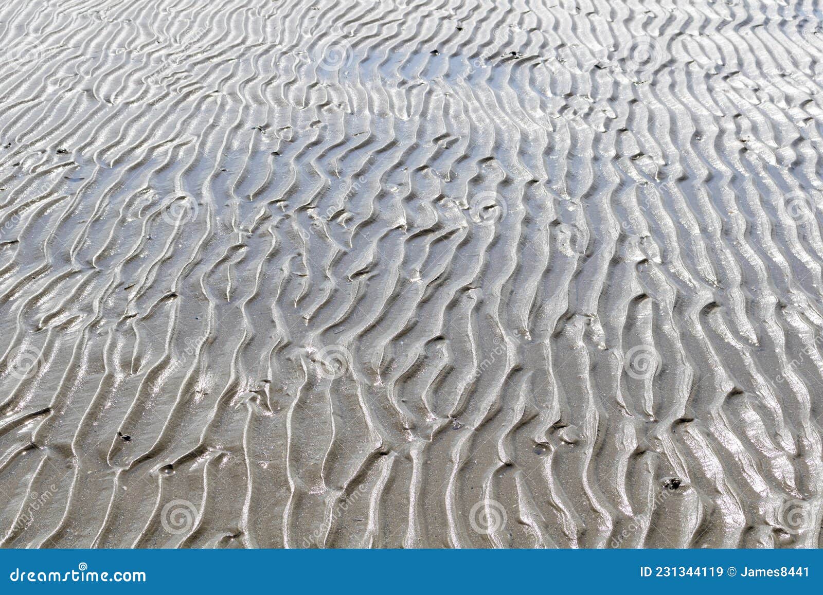 Sand texture. stock image. Image of dune, desert, nature - 231344119