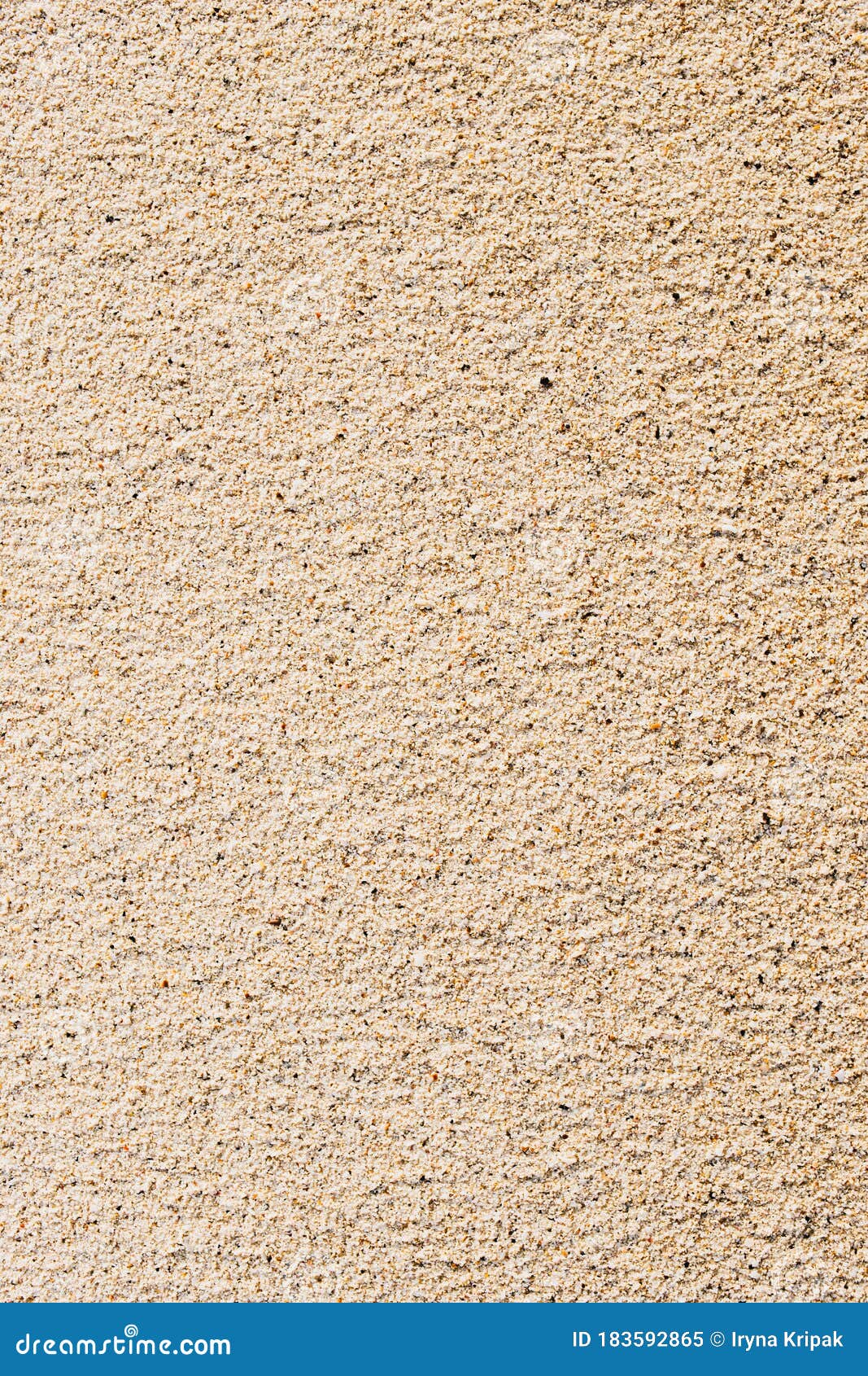 Sand Texture at Dawn in Thailand with Large Shells Stock Image - Image ...