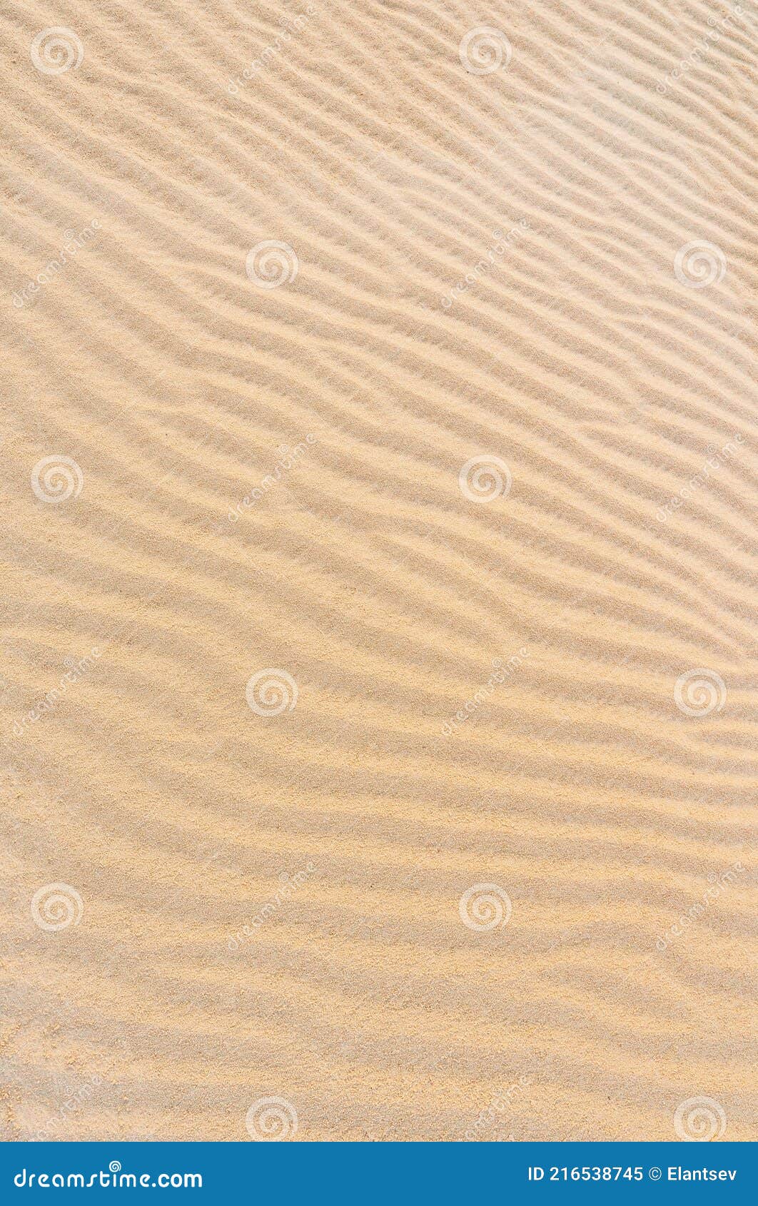 Sand Texture on a Desert Dune with Patterns in the Form of Waves ...