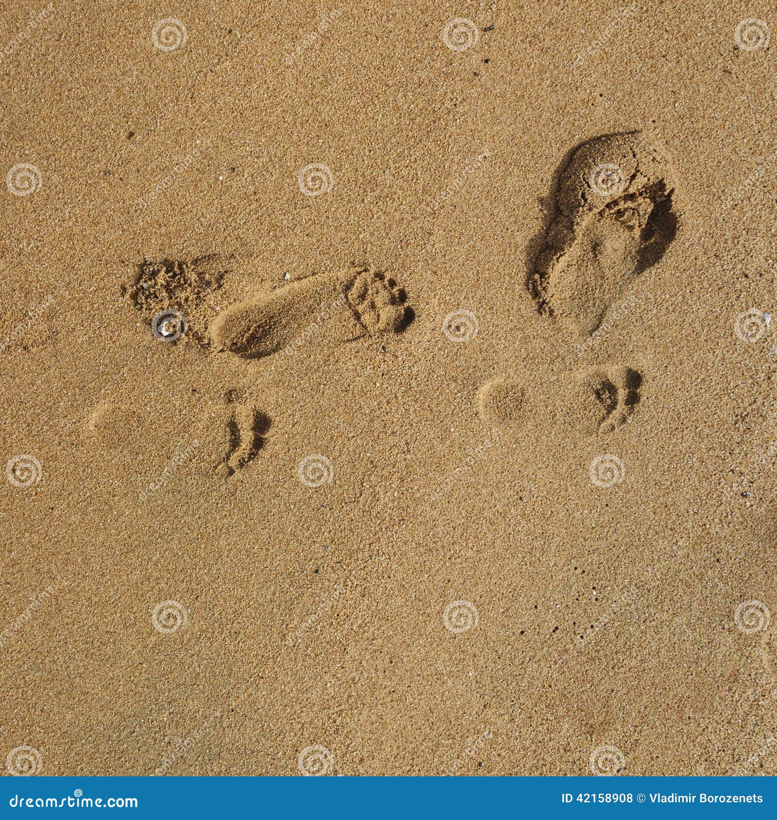 Sand Texture with Foot Steps Stock Photo - Image of footprints, relax ...