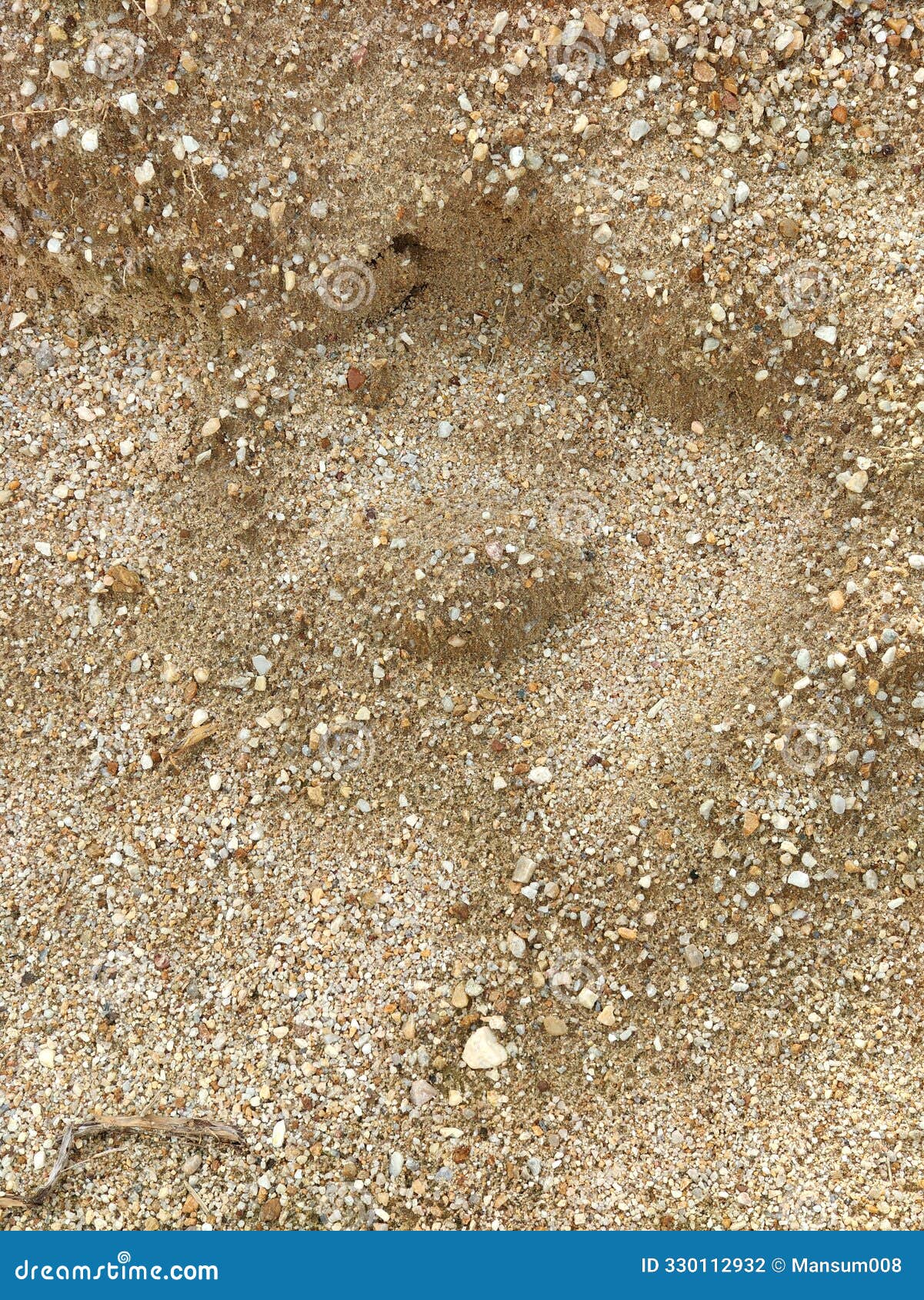 Sand Texture with Footprints Stock Photo - Image of track, natural ...