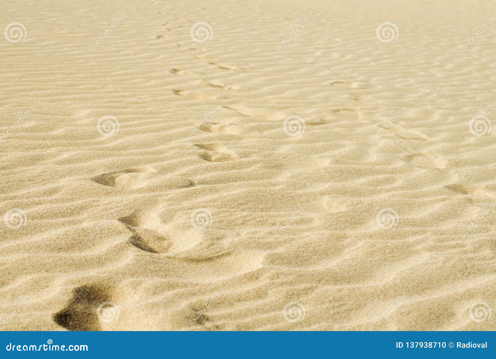 Sand Texture and Footprints. Summer Rest. Backgrounds Textures Stock ...