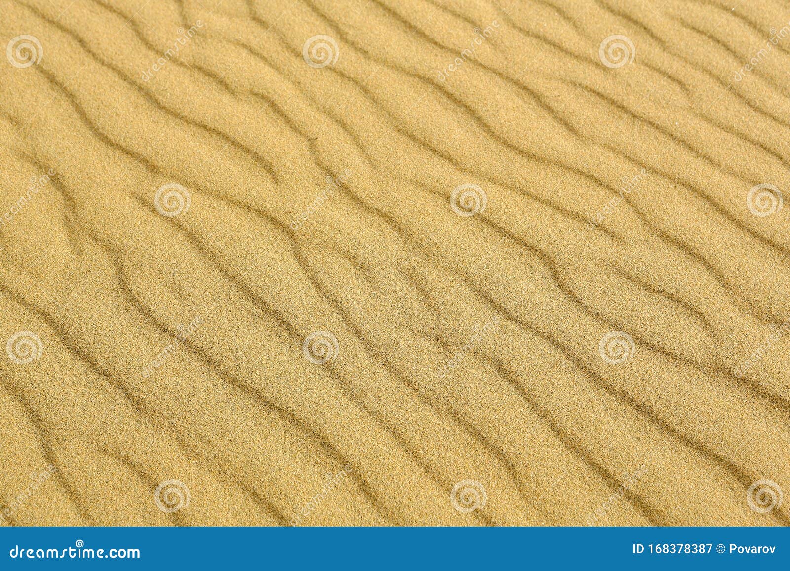 Sand Texture in the Gobi Desert, Mongolia Stock Image - Image of ...
