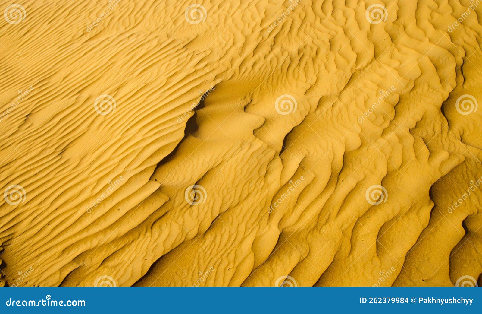 Sand texture stock photo. Image of texture, terrain - 262379984