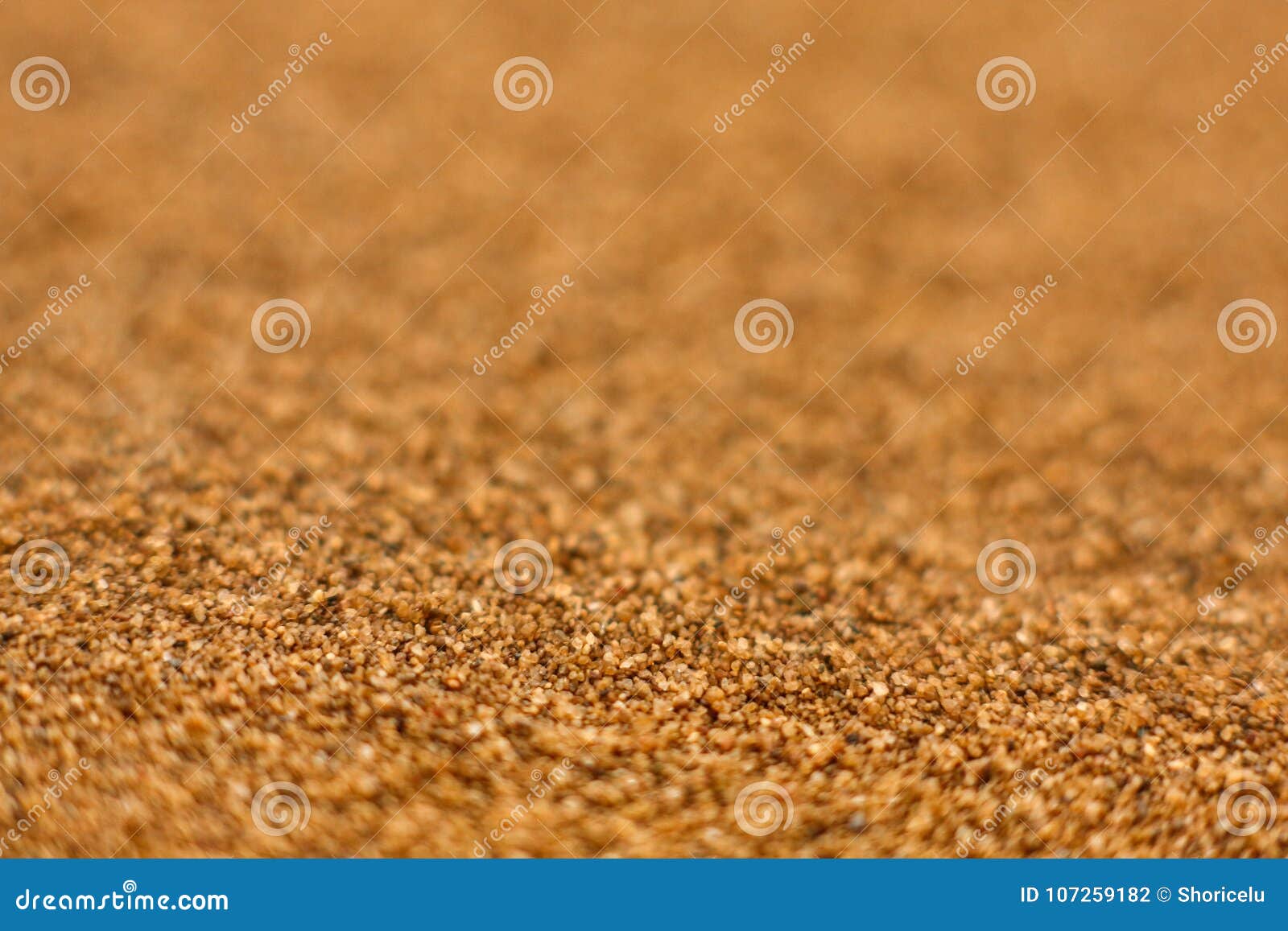 Sand Grains Texture Gradually Blurred Depth of Field Example Stock ...