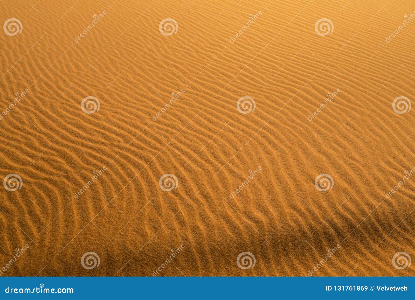 Sand Texture of Sahara Desert Stock Image - Image of sunset, landscape ...