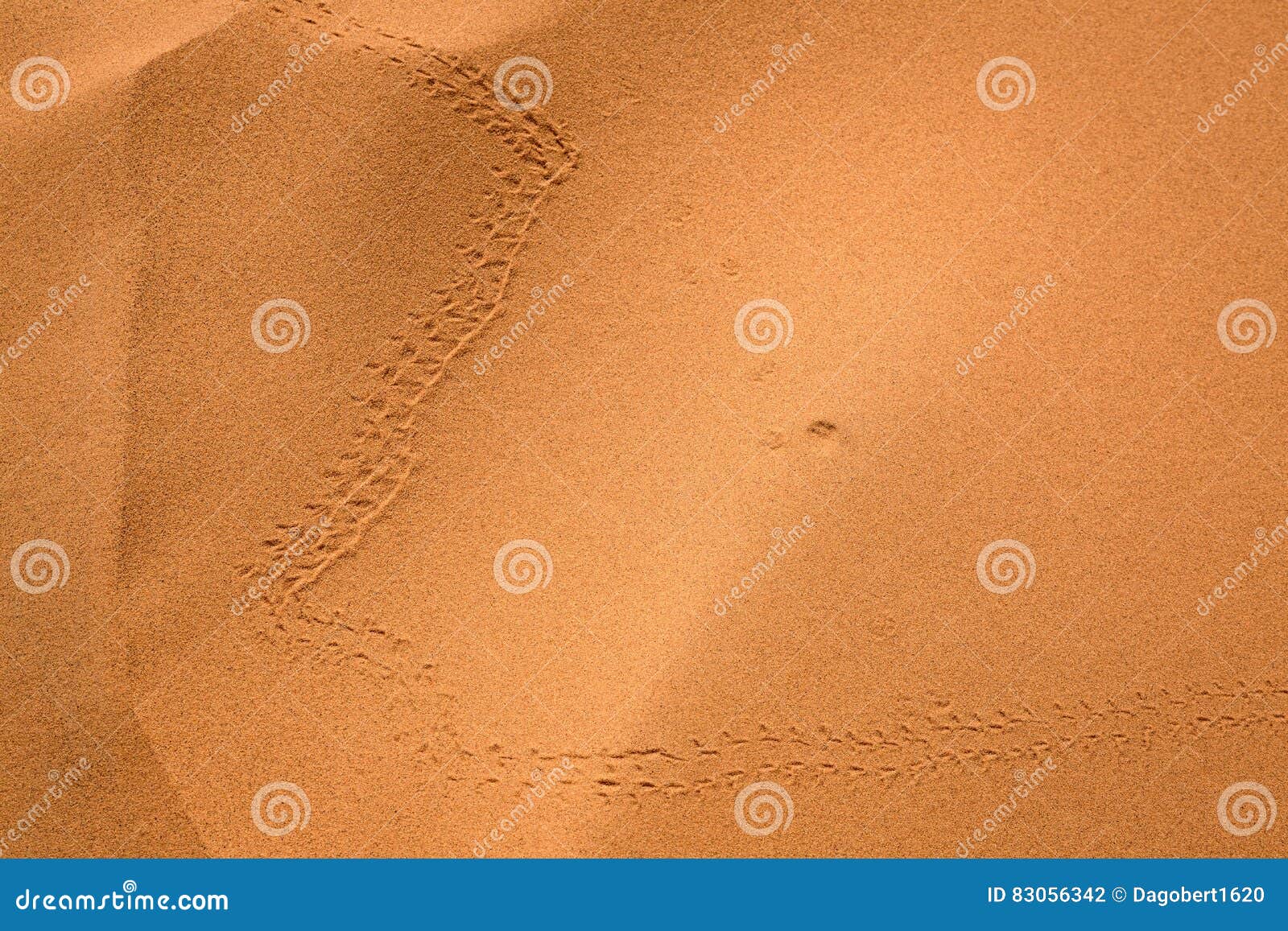 Sand Texture Sahara Desert, Morocco Stock Photo - Image of design ...