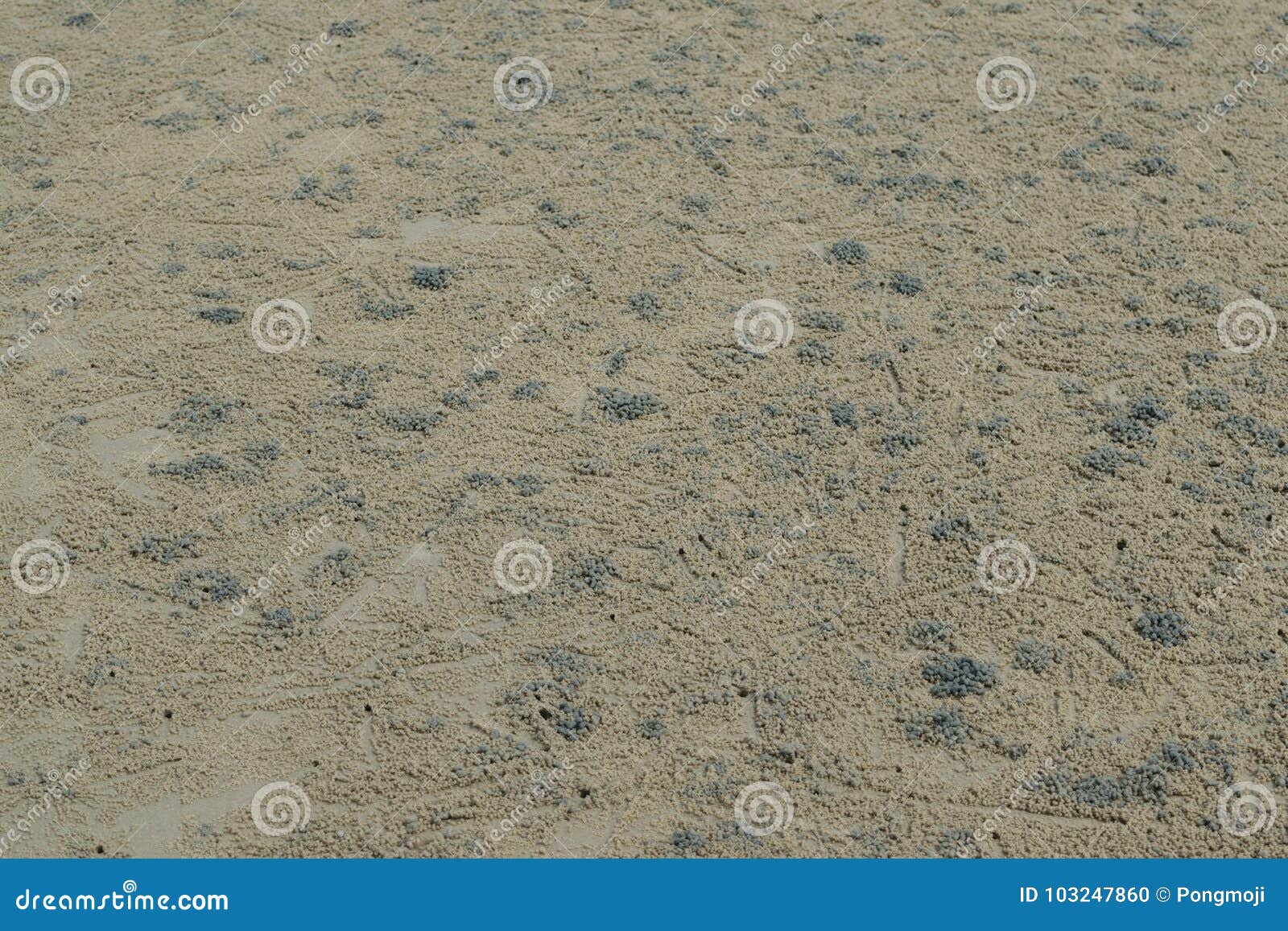 Sand texture stock photo. Image of pattern, design, living - 103247860