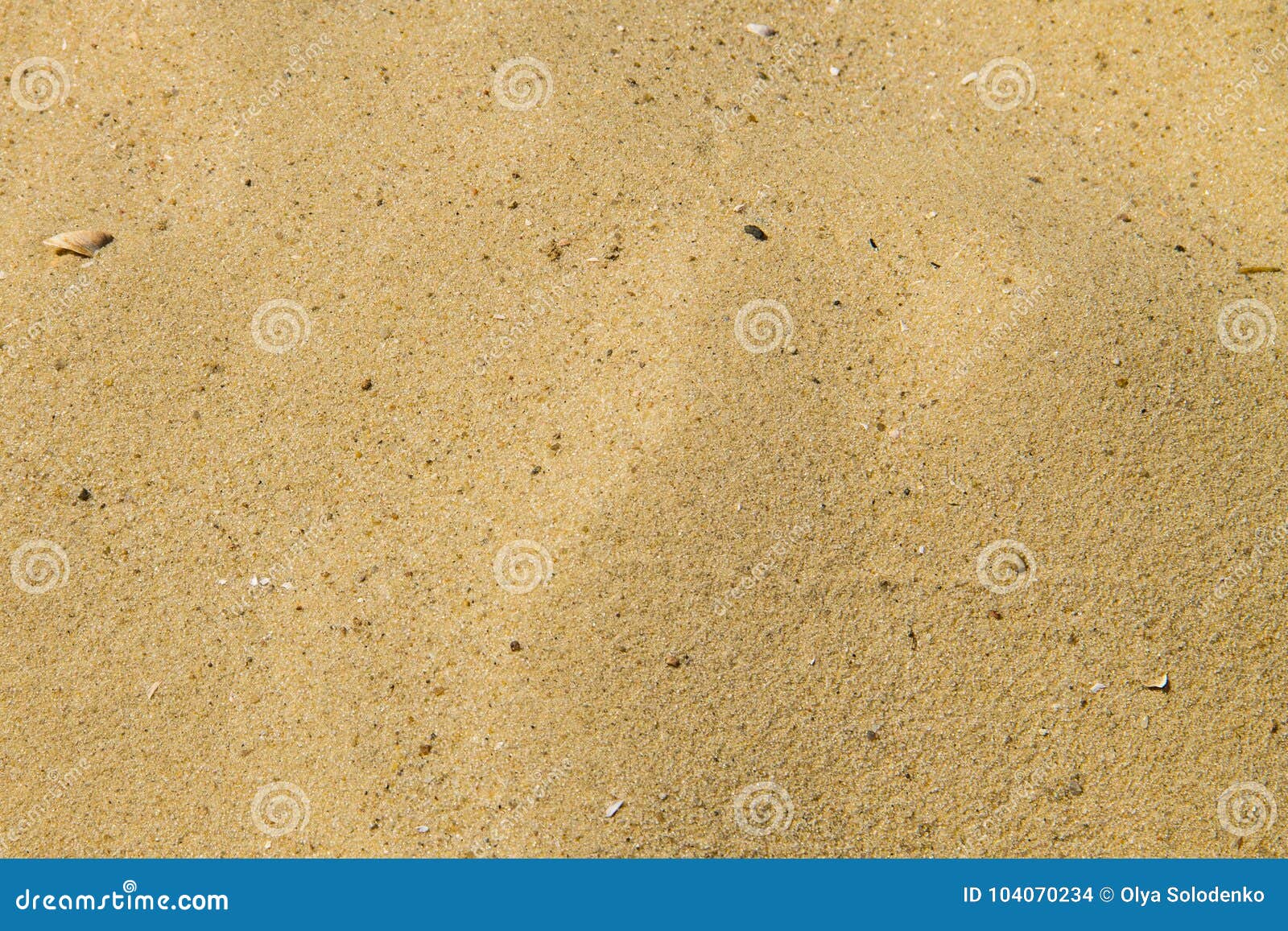 Sand Texture. Sandy Beach for Background Stock Photo - Image of ecology ...