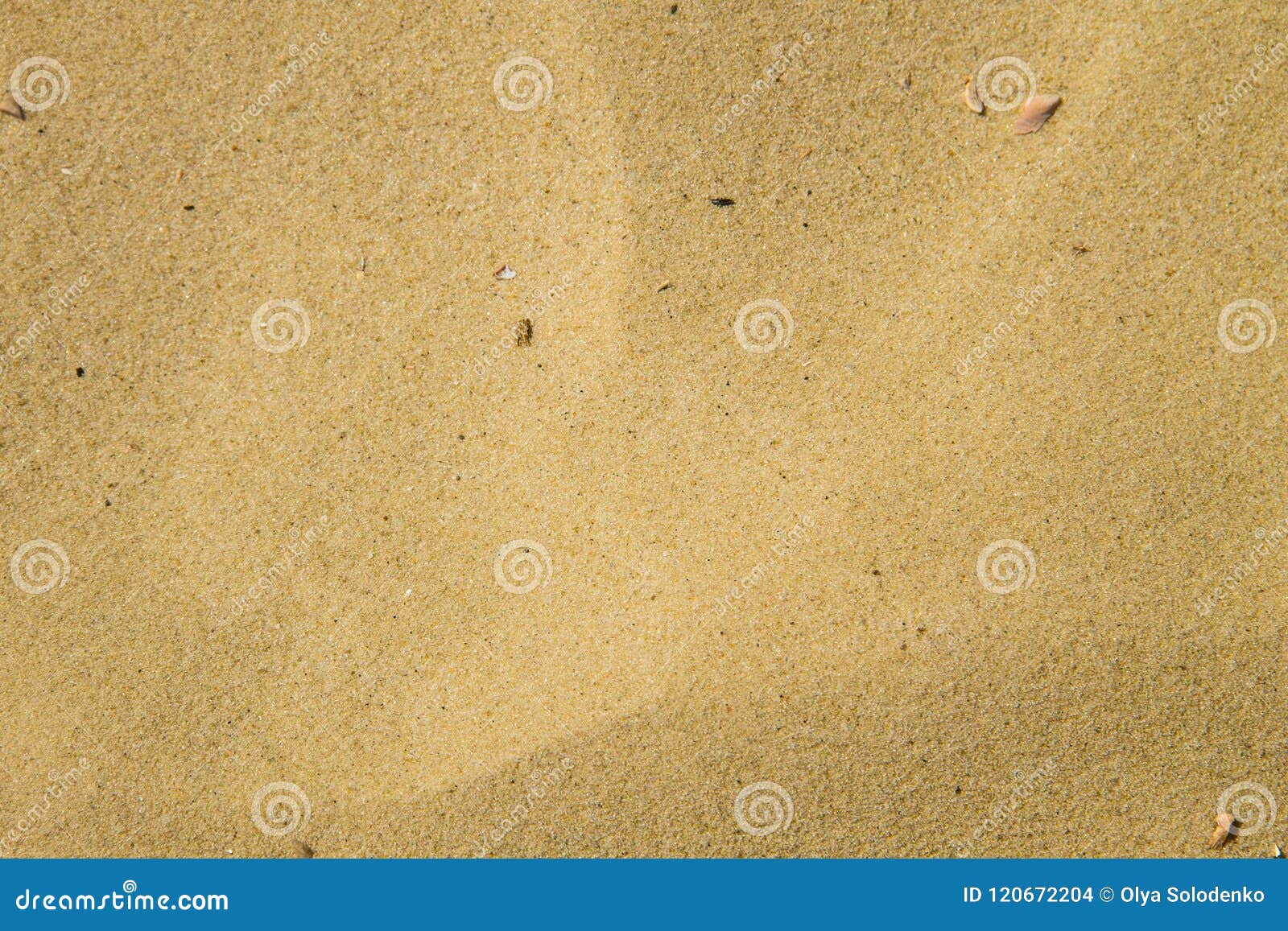 Sand Texture. Sandy Beach for Background Stock Photo - Image of nature ...