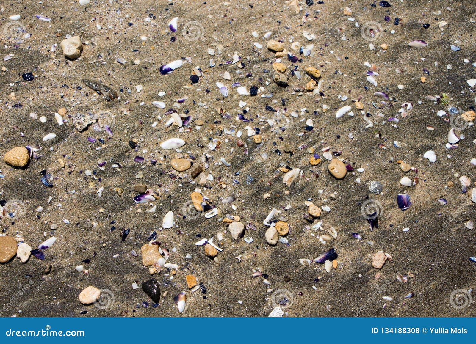 Sand Texture with Sea Shells Stock Photo - Image of abstract, rock ...