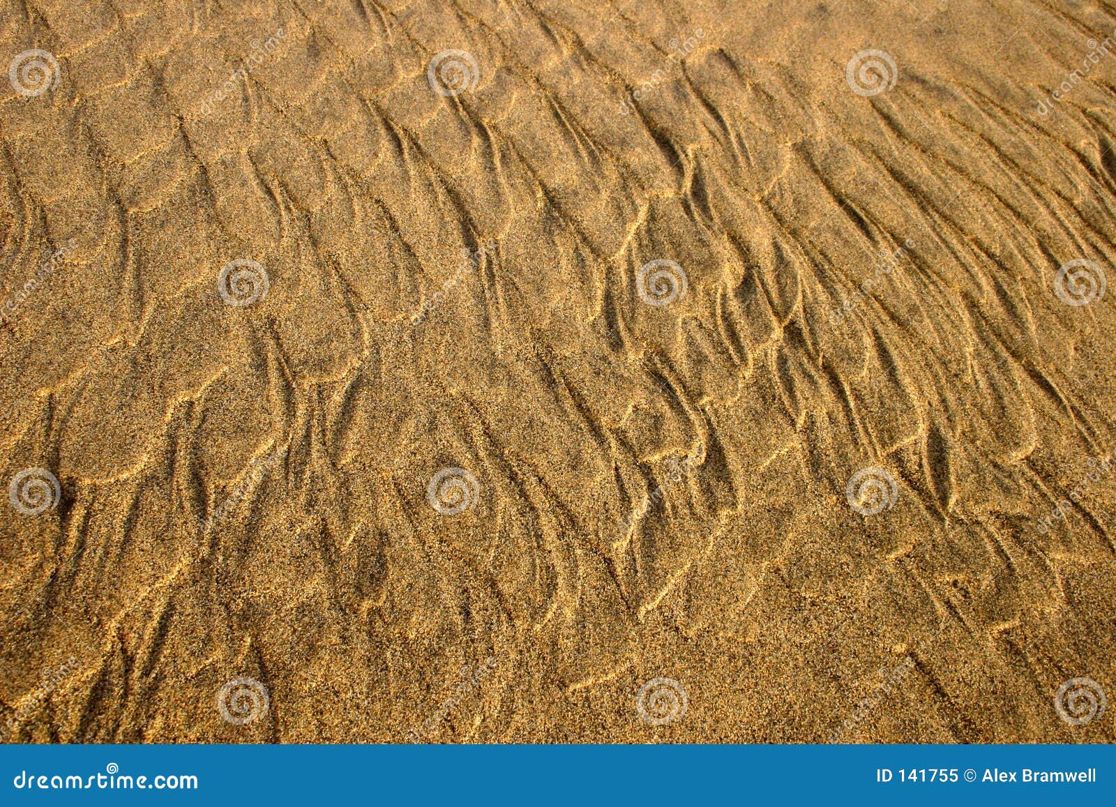233 Desertscape Sand Stock Photos - Free & Royalty-Free Stock Photos ...
