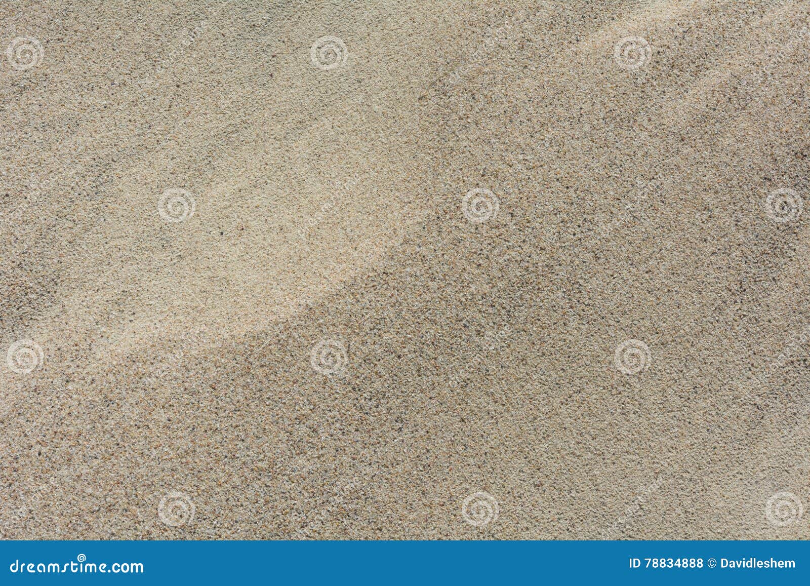Sand texture top view stock photo. Image of sandy, outdoor - 78834888