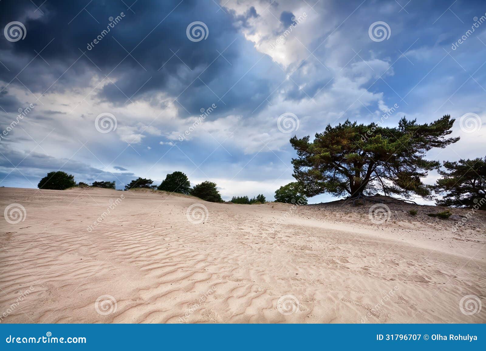 Sand Texture at Windy Stormy Weather Stock Image - Image of cloud, pine ...
