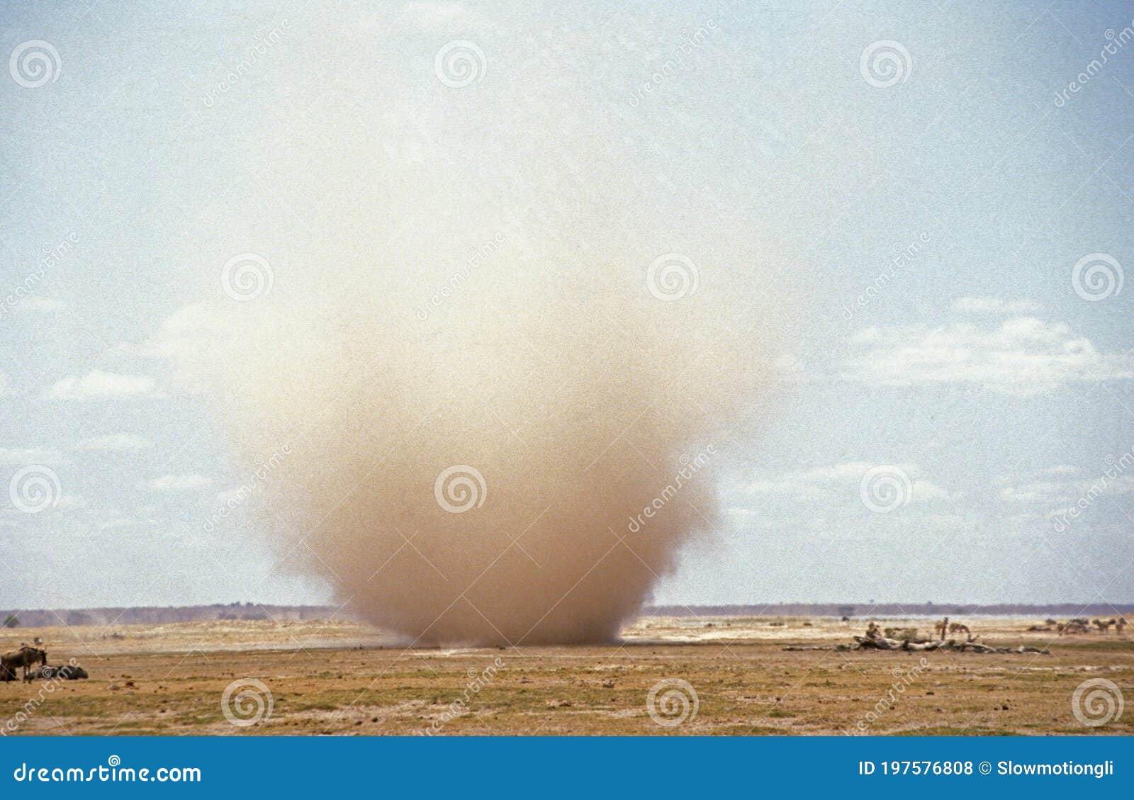 Sand Tornado in Kenya stock photo. Image of wildebeest - 197576808