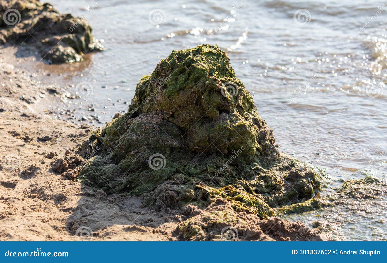 Sand Towers on the Seashore Stock Photo - Image of shore, design: 301837602