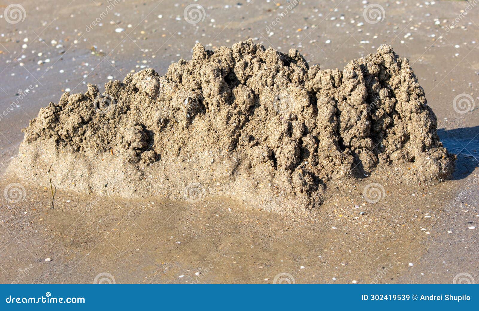Sand Towers on the Seashore Stock Image - Image of seaside, coastline ...