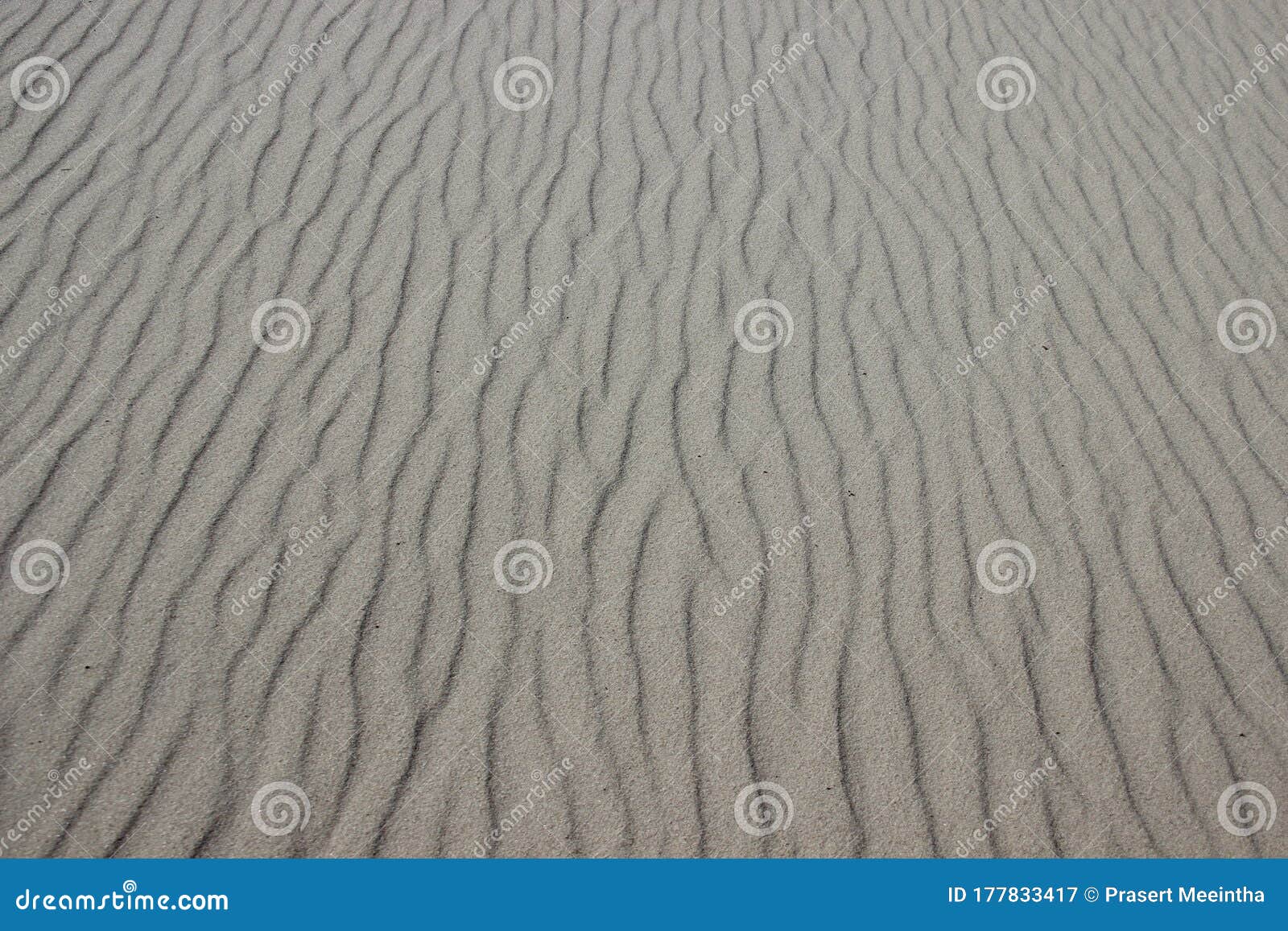 Sand Track stock image. Image of ground, stran, sand - 177833417