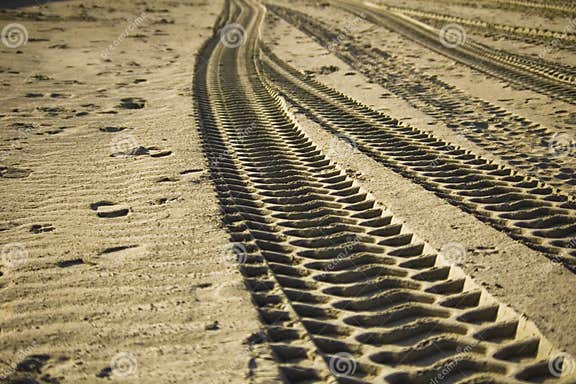 Sand tracks stock image. Image of sports, natural, marks - 5906879