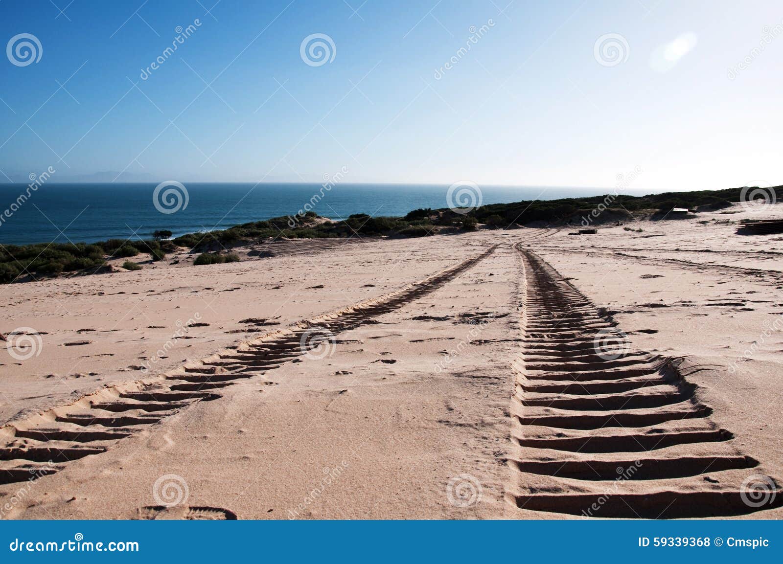 Sand Tracks stock photo. Image of track, natural, texture - 59339368