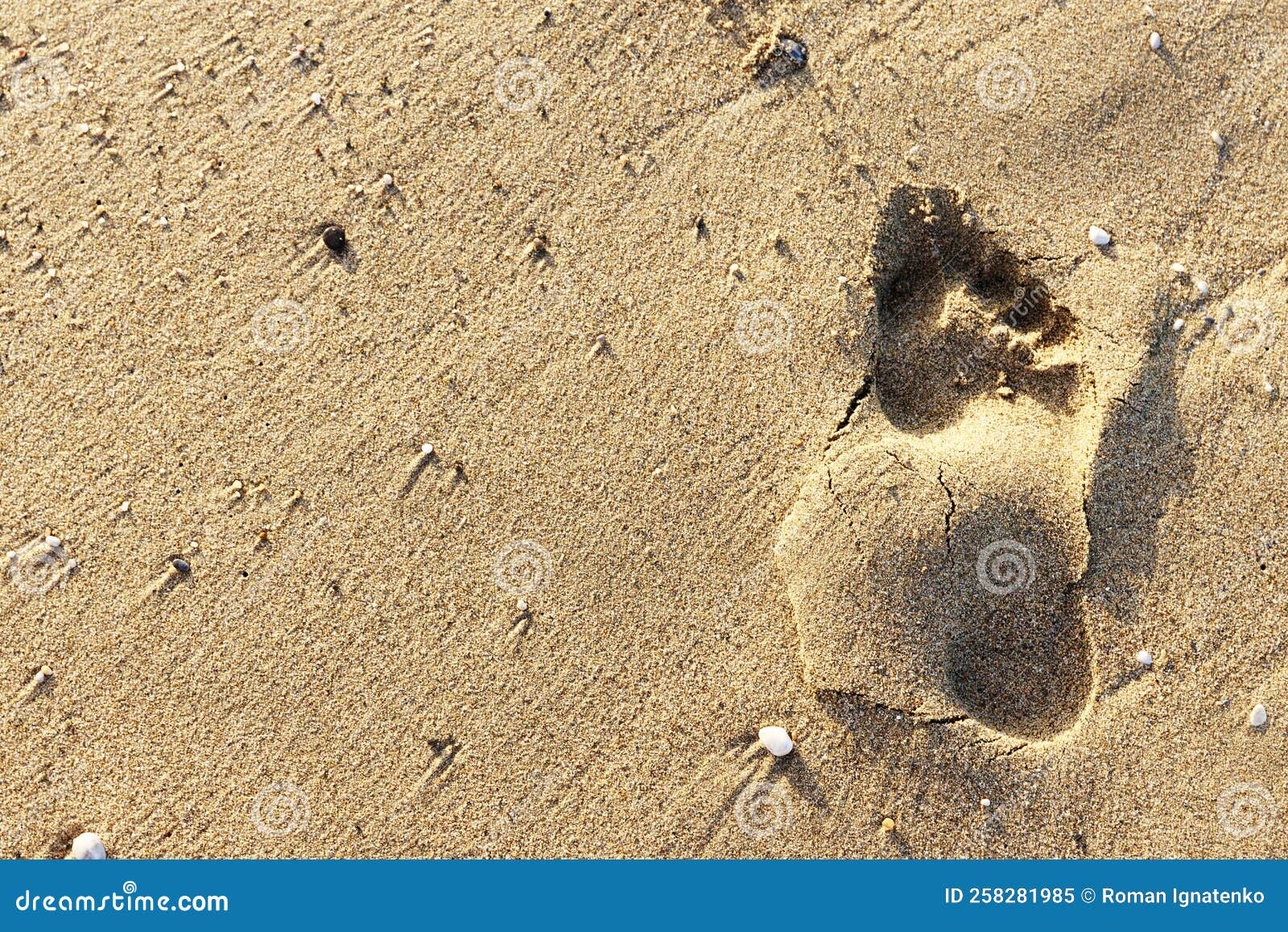 Sand Trail on the Sand on the Beach Stock Image - Image of journey ...