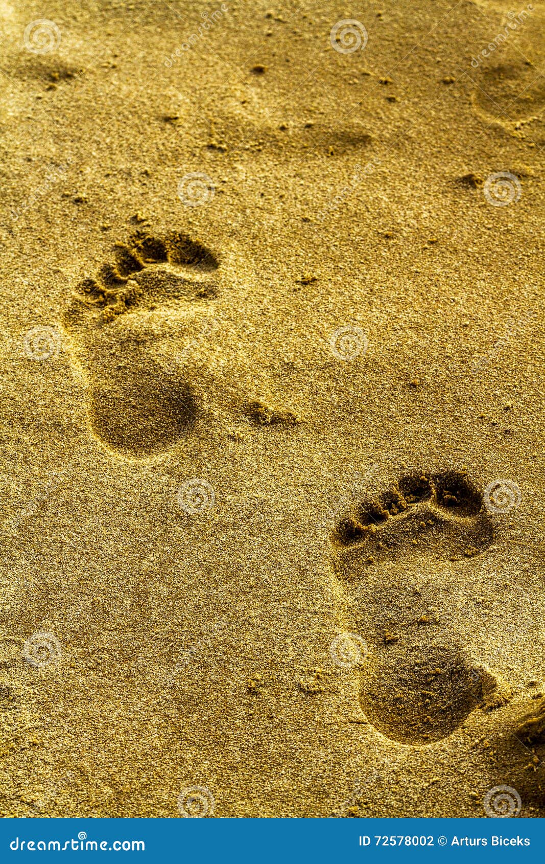 Sand trail stock photo. Image of nature, shore, imprint - 72578002