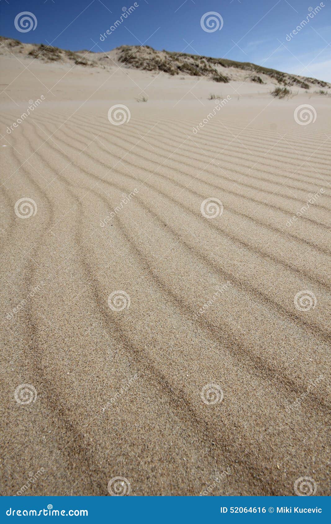 Sand Trail Pattern in the Dunes Stock Photo - Image of sahara, dunes ...