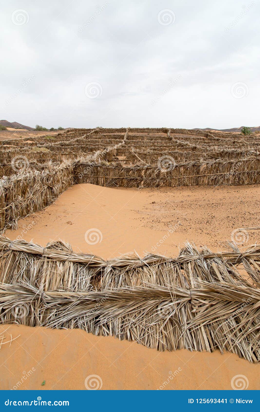 Sand Trap in the Desert in Morocco Stock Image - Image of africa ...