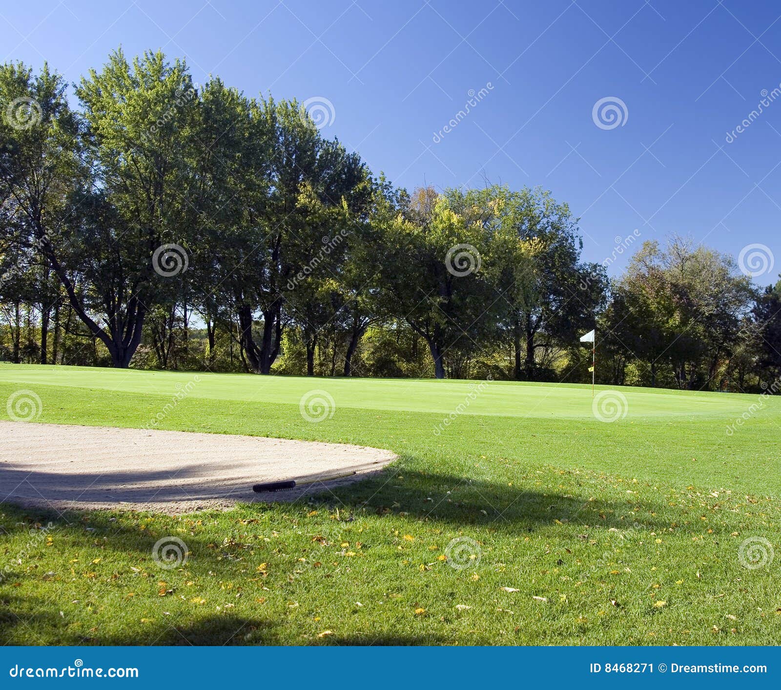 Sand Trap and Green stock image. Image of trap, leaves - 8468271