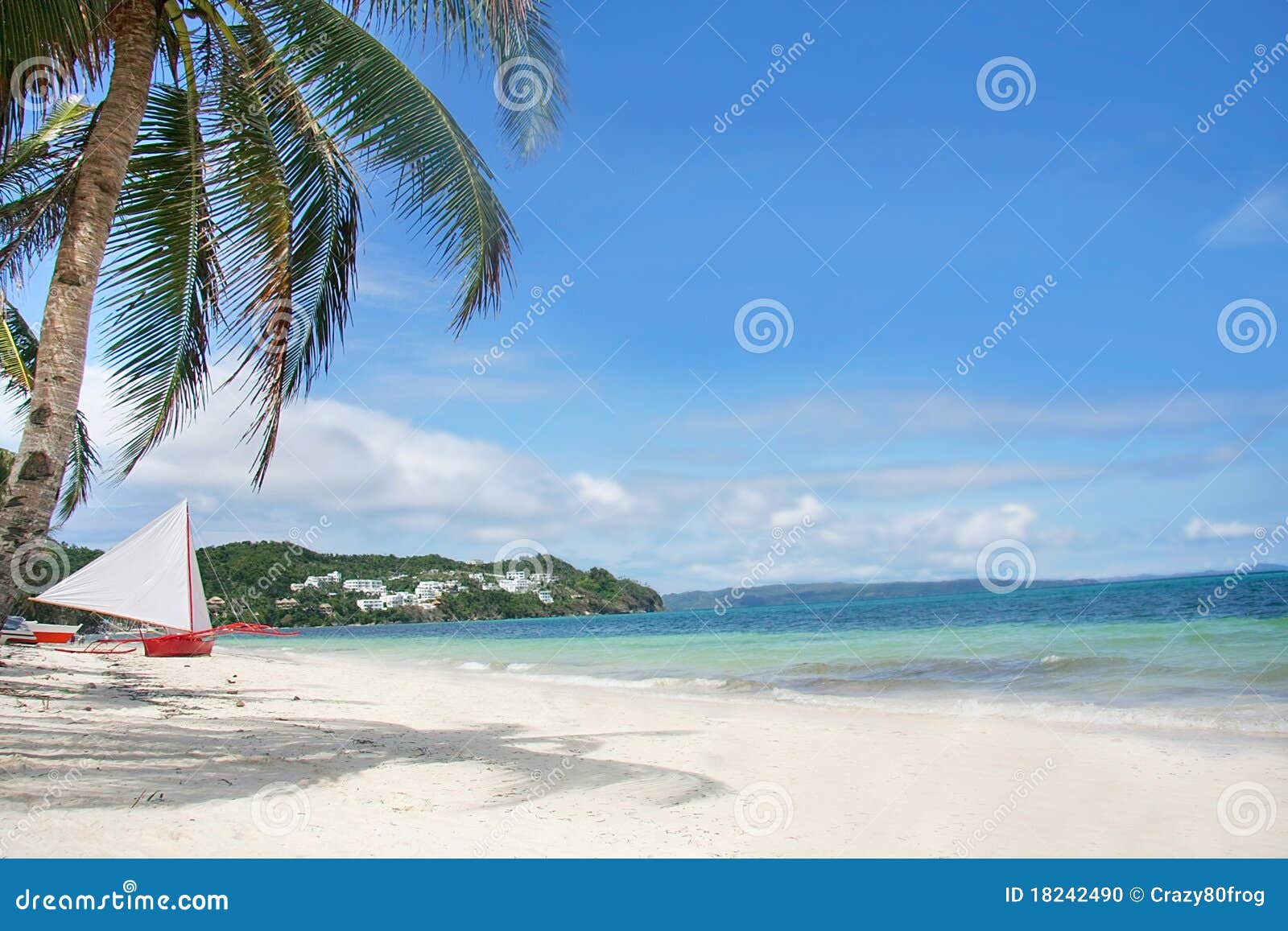Sand tropical beach stock photo. Image of palmtree, beautiful - 18242490