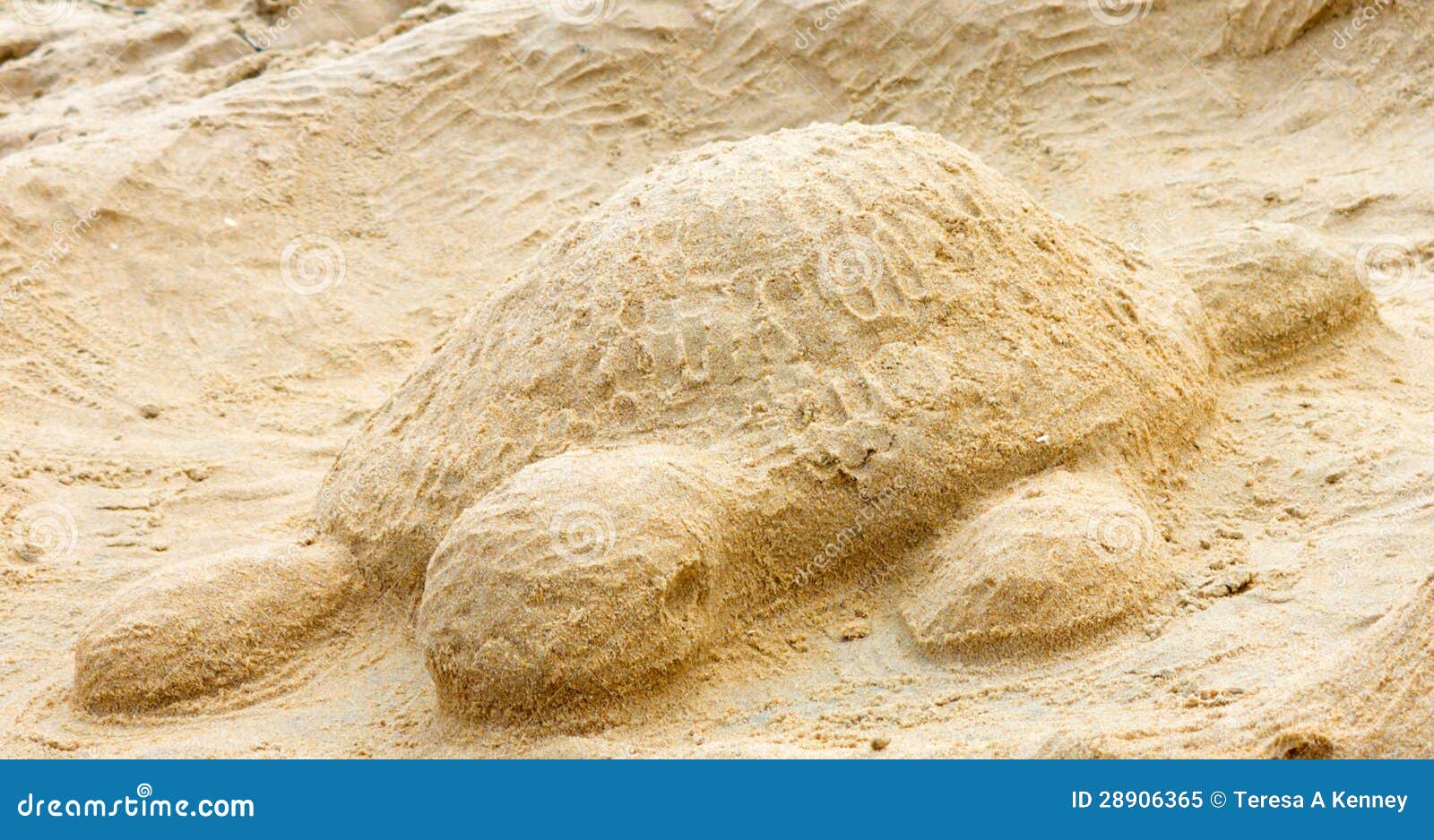 Sand Turtle stock image. Image of recreational, carved - 28906365