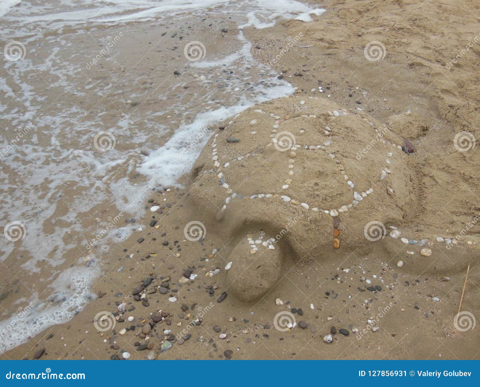 Sand turtle on the beach stock image. Image of love - 127856931
