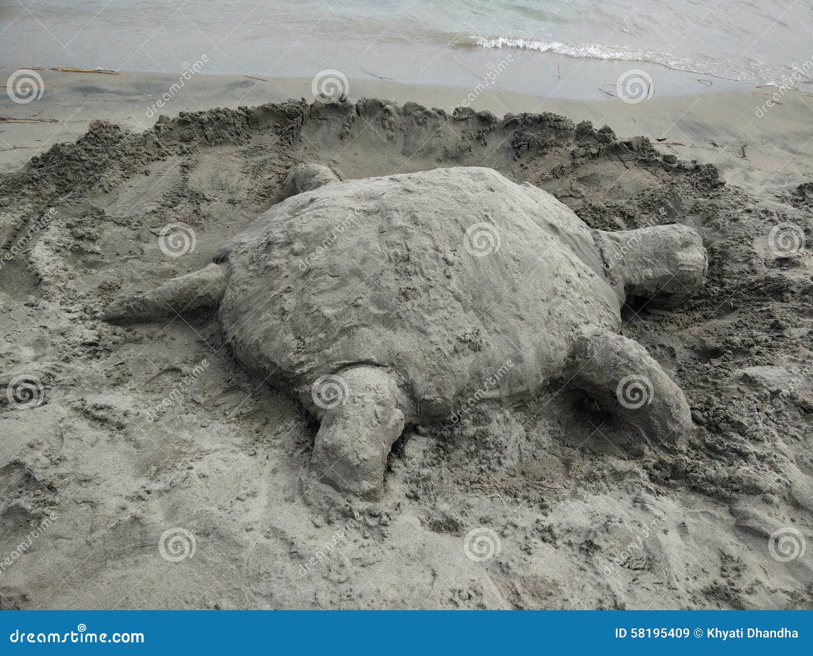 Sand Turtle by the Beach stock image. Image of sand, ocean - 58195409