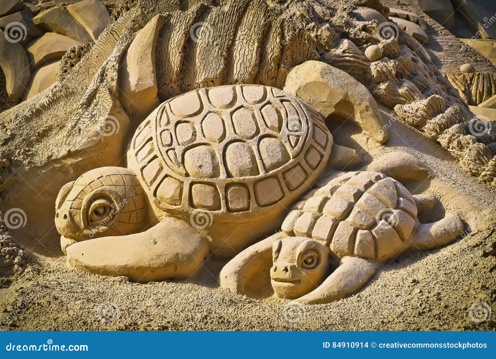 Sand Turtles Picture. Image: 84910914